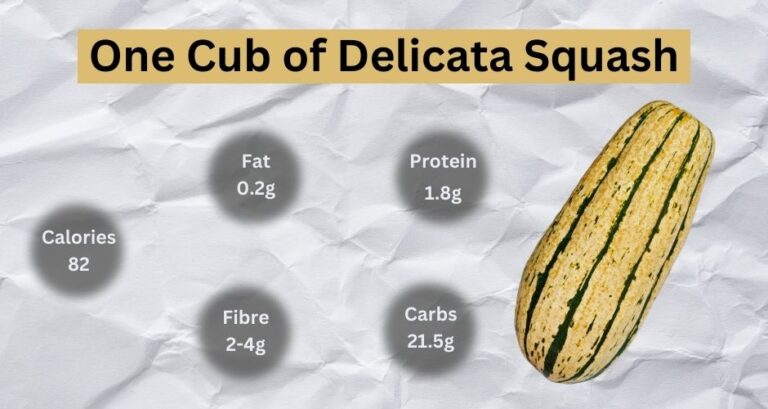 Ultimate Guide on Nutritional Benefits of Squash